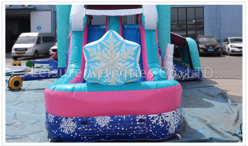 Frozen Princess Crown Double Lane Combo II Wet/Dry-V-SL - Leisure ...